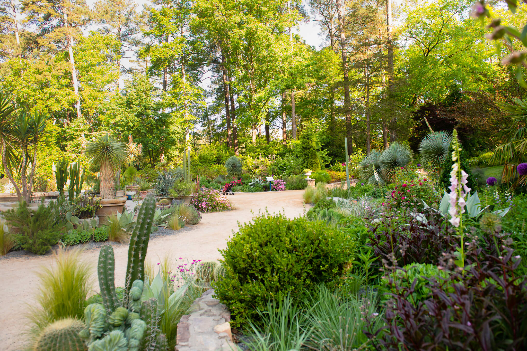 Nature's Oasis: A Guide to Explore the Magic of Sarah P. Duke Gardens!