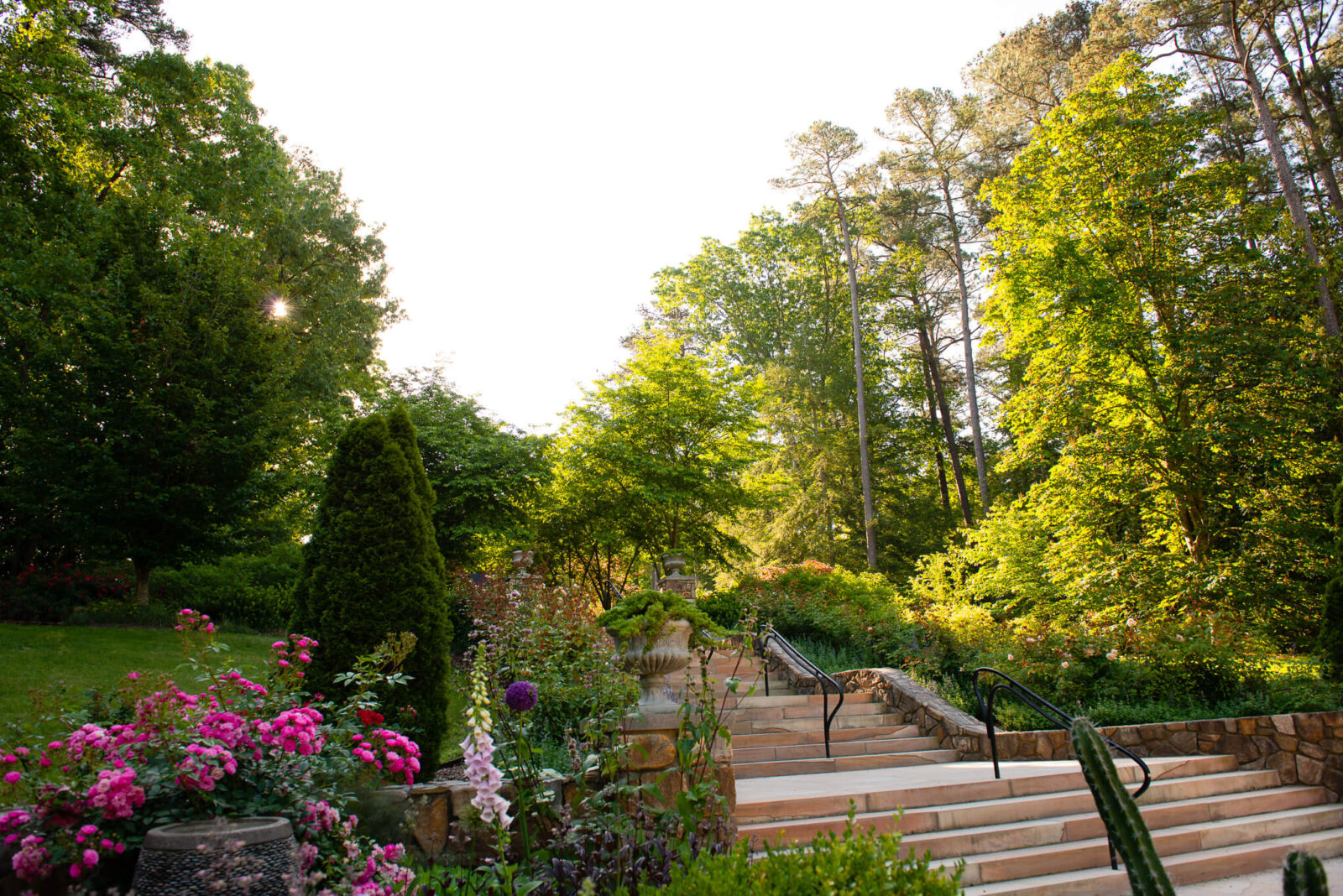 Nature's Oasis: A Guide to Explore the Magic of Sarah P. Duke Gardens!