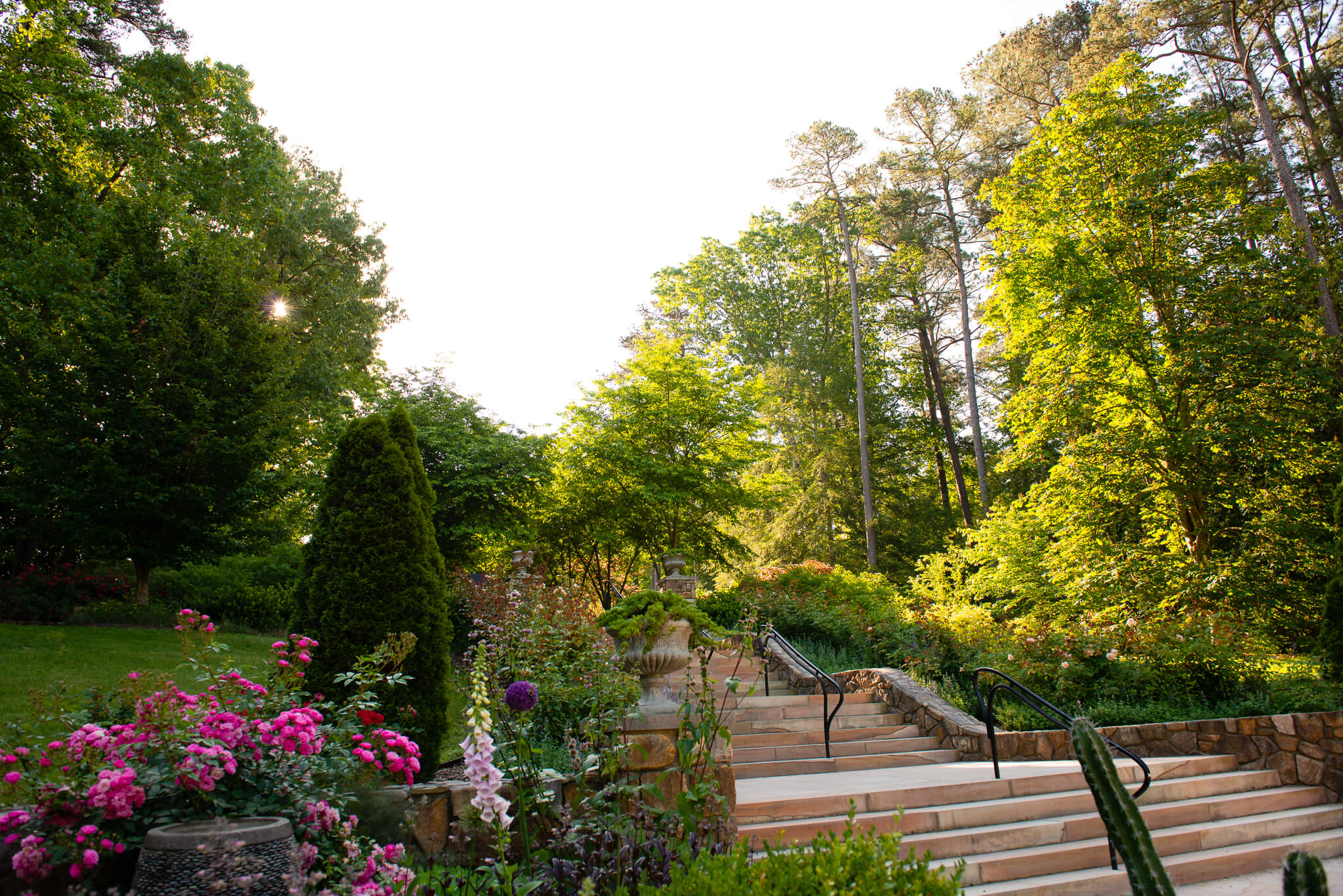 Nature's Oasis: A Guide to Explore the Magic of Sarah P. Duke Gardens!