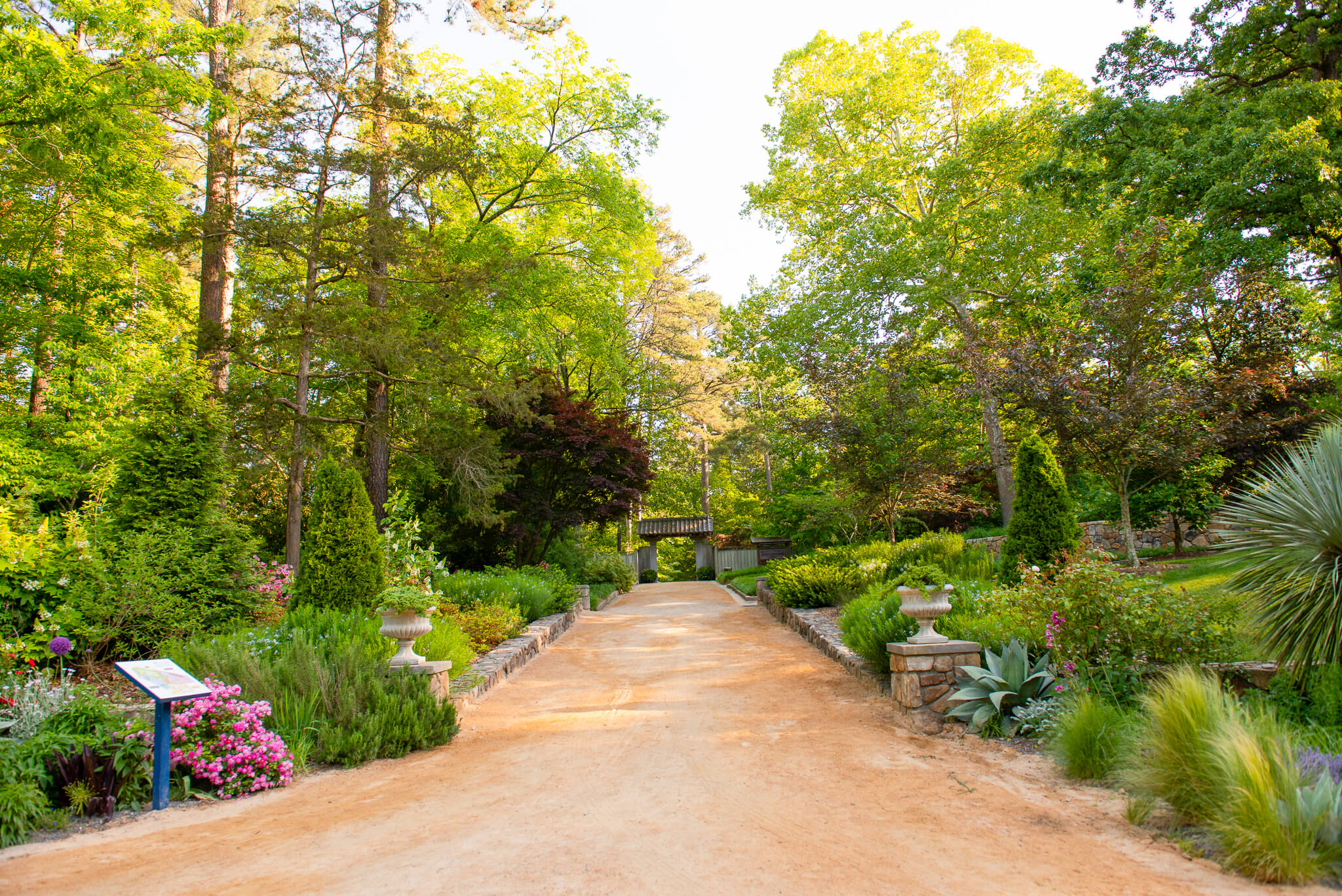 Nature's Oasis: A Guide to Explore the Magic of Sarah P. Duke Gardens!